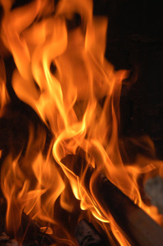 รูปภาพFogata – เลือกดูภาพถ่ายสต็อก เวกเตอร์ และวิดีโอ4,254 | Adobe Stock