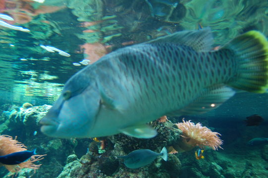 Tij Images – Browse 61 Stock Photos, Vectors, and Video | Adobe Stock