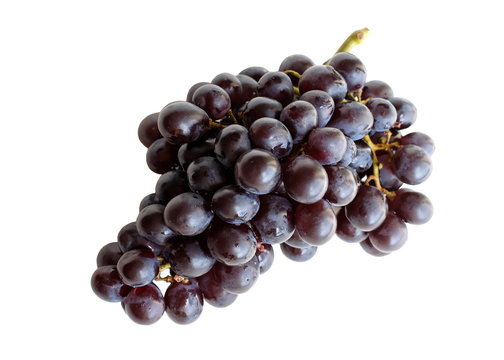 "Grappe De Raisin" Imagens – Procure 1,708 fotos, vetores e vídeos ...