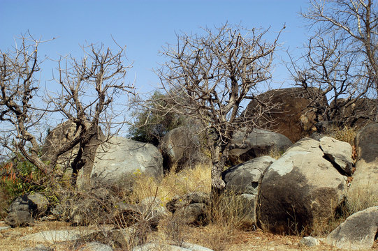 Cahot Images – Browse 33 Stock Photos, Vectors, and Video | Adobe Stock