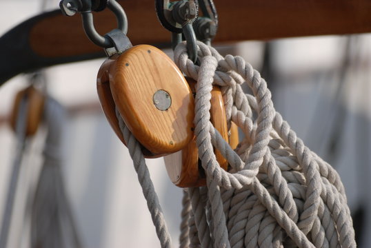 รูปภาพPoulie – เลือกดูภาพถ่ายสต็อก เวกเตอร์ และวิดีโอ2,375 | Adobe Stock