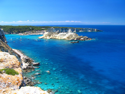 Tremity Images – Browse 38 Stock Photos, Vectors, and Video | Adobe Stock