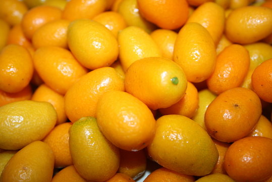 Kinkan bilder – Bläddra bland 2,226 stockfoton, vektorer och videor ...