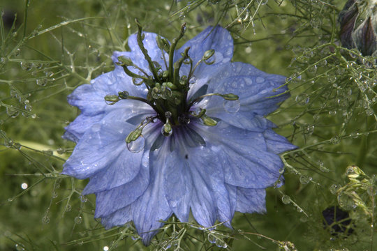 Bleur Images – Browse 46 Stock Photos, Vectors, and Video | Adobe Stock