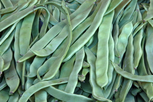 Mange-Tout Images – Browse 14,746 Stock Photos, Vectors, and Video ...