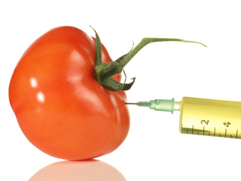 Genmanipuliert bilder – Bläddra bland 642 stockfoton, vektorer och ...