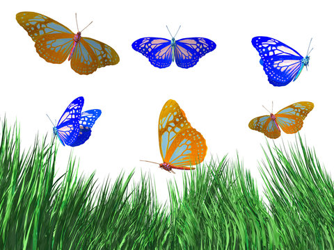 Voleter 이미지 – 찾아보기 169 스톡 사진, 벡터 및 비디오 | Adobe Stock