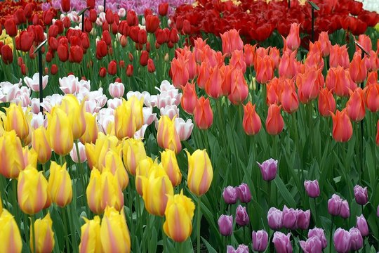 DIE 7,947 BESTEN BILDER, STOCK-FOTOS UND -VEKTORGRAFIKEN ZU „Fotolia ...