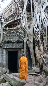 Bonze Images – Parcourir 3,997 le catalogue de photos, vecteurs et ...