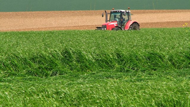 Ensilage Images – Browse 63,099 Stock Photos, Vectors, and Video ...