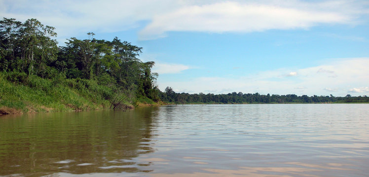 Javari-Bilder: Stock-Fotos & -Videos. | Adobe Stock