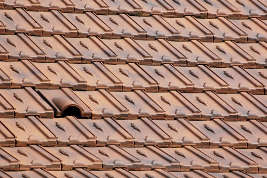 รูปภาพTuilage – เลือกดูภาพถ่ายสต็อก เวกเตอร์ และวิดีโอ11 | Adobe Stock