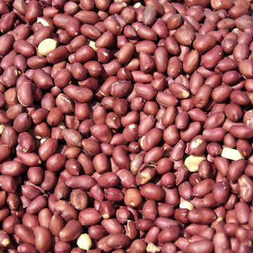 รูปภาพCacahouette – เลือกดูภาพถ่ายสต็อก เวกเตอร์ และวิดีโอ76 | Adobe Stock