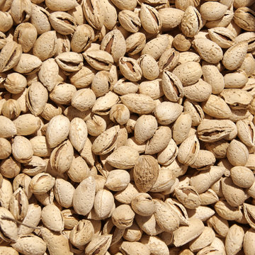 「Cacahouette」の画像 - 79 件の Stock 写真、ベクターおよびビデオ | Adobe Stock