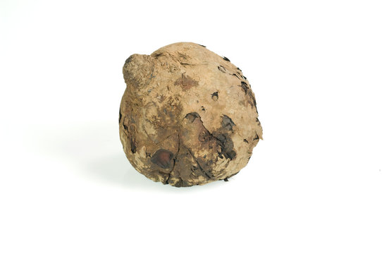 รูปภาพTubero – เลือกดูภาพถ่ายสต็อก เวกเตอร์ และวิดีโอ1,288 | Adobe Stock