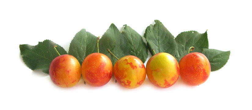 รูปภาพDzanarika – เลือกดูภาพถ่ายสต็อก เวกเตอร์ และวิดีโอ7 | Adobe Stock