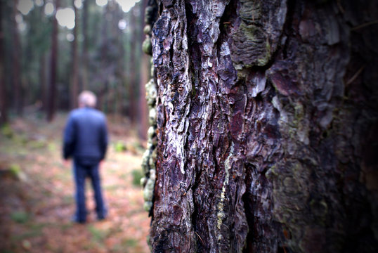 Spitzel Bilder – Durchsuchen 385 Archivfotos, Vektorgrafiken und Videos ...