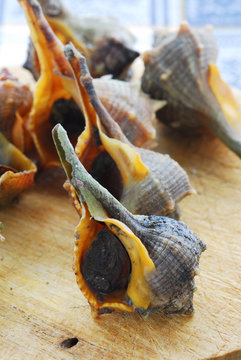 Garusoli Images – Browse 36 Stock Photos, Vectors, and Video | Adobe Stock