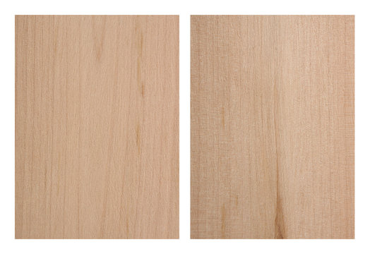 Hazel-Wood Images – Browse 20 Stock Photos, Vectors, and Video | Adobe ...