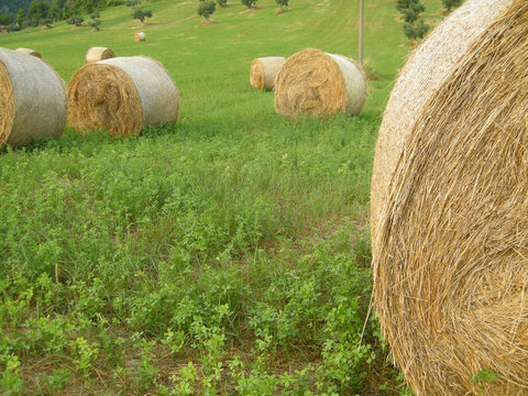 「Heurolle」の画像 - 192 件の Stock 写真、ベクターおよびビデオ | Adobe Stock