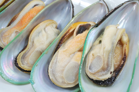 Mussell 이미지 – 찾아보기 66 스톡 사진, 벡터 및 비디오 | Adobe Stock