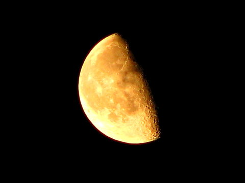 Dichotomy Images – Parcourir 393 le catalogue de photos, vecteurs et ...