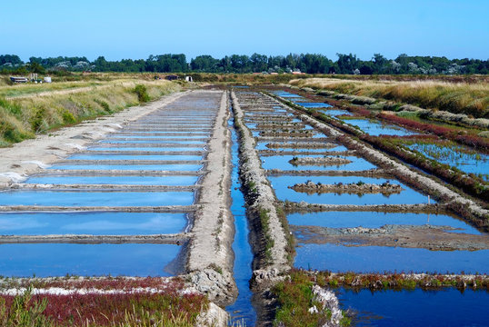 "Marais Salant" Images – Browse 2,018 Stock Photos, Vectors, and Video ...