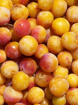 5,468 BESTE Mirabellen BILDER, STOCK-FOTOS & -VEKTORGRAFIKEN | Adobe Stock