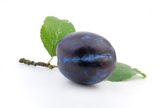 Zwetschke-Bilder: Stock-Fotos & -Videos. | Adobe Stock