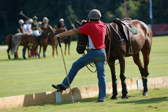 รูปภาพ"Polo Stick" – เลือกดูภาพถ่ายสต็อก เวกเตอร์ และวิดีโอ1,953 ...