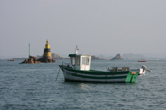 Crevetier Images – Browse 2 Stock Photos, Vectors, and Video | Adobe Stock