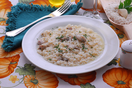 Rane Images – Browse 782 Stock Photos, Vectors, and Video | Adobe Stock