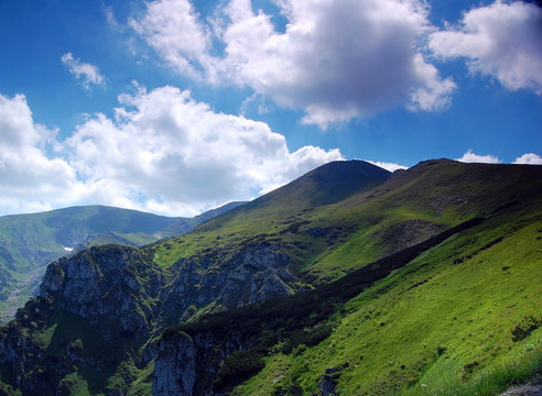 Gory Images – Browse 179,351 Stock Photos, Vectors, and Video | Adobe Stock