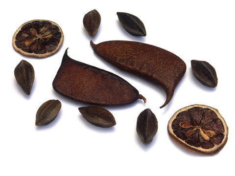 รูปภาพBadamier – เลือกดูภาพถ่ายสต็อก เวกเตอร์ และวิดีโอ101 | Adobe Stock