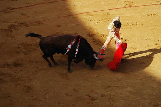 Tauromachie bilder – Bläddra bland 1,073 stockfoton, vektorer och ...