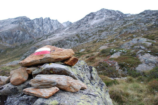 Gr10 Images – Browse 921 Stock Photos, Vectors, and Video | Adobe Stock