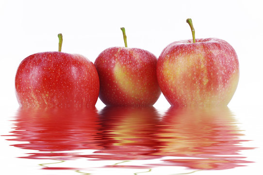 รูปภาพ"Mela – เลือกดูภาพถ่ายสต็อก เวกเตอร์ และวิดีโอ17,398 | Adobe Stock