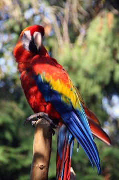 รูปภาพGranivore – เลือกดูภาพถ่ายสต็อก เวกเตอร์ และวิดีโอ2,308 | Adobe Stock