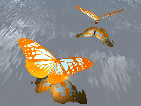 Voleter 이미지 – 찾아보기 169 스톡 사진, 벡터 및 비디오 | Adobe Stock