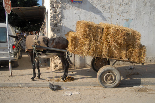 Charette - Images et vidéos libres de droits | Adobe Stock