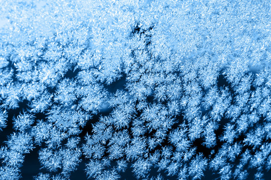 Frostig bilder – Bläddra bland 24,012 stockfoton, vektorer och videor ...