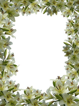 Dissymmetric Images – Browse 2 Stock Photos, Vectors, and Video | Adobe ...