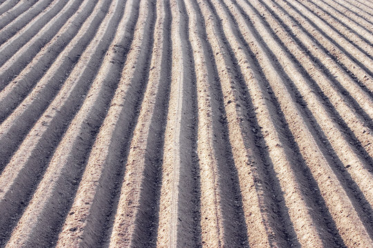 Imágenes de Surcos: descubre bancos de fotos, ilustraciones, vectores y ...