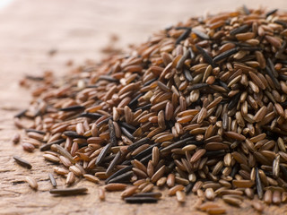 10+ Free Wild Rice Pictures | Free HD Downloads - Pikwizard