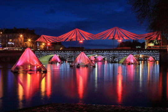 「Flamboyer」の写真素材 | 14件の無料イラスト画像 | Adobe Stock