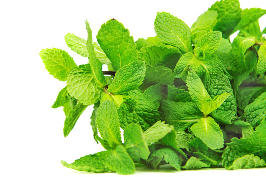 รูปภาพMinzen – เลือกดูภาพถ่ายสต็อก เวกเตอร์ และวิดีโอ1,347 | Adobe Stock