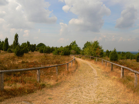รูปภาพSandweg – เลือกดูภาพถ่ายสต็อก เวกเตอร์ และวิดีโอ1,099 | Adobe Stock