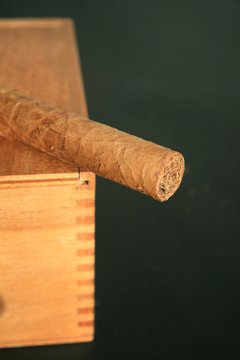 Cigaro Images – Browse 33 Stock Photos, Vectors, and Video | Adobe Stock