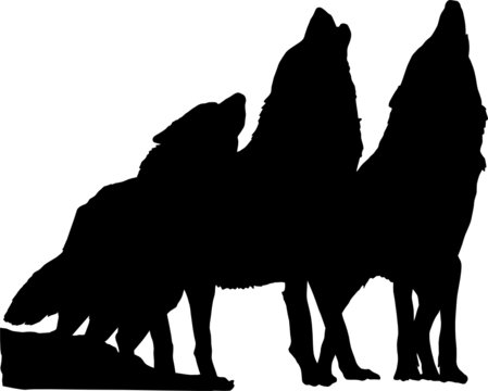 Wolf Pack Drawing Outline