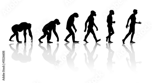 "Darwin - Théorie de l'évolution singe homme" fichier vectoriel libre ...